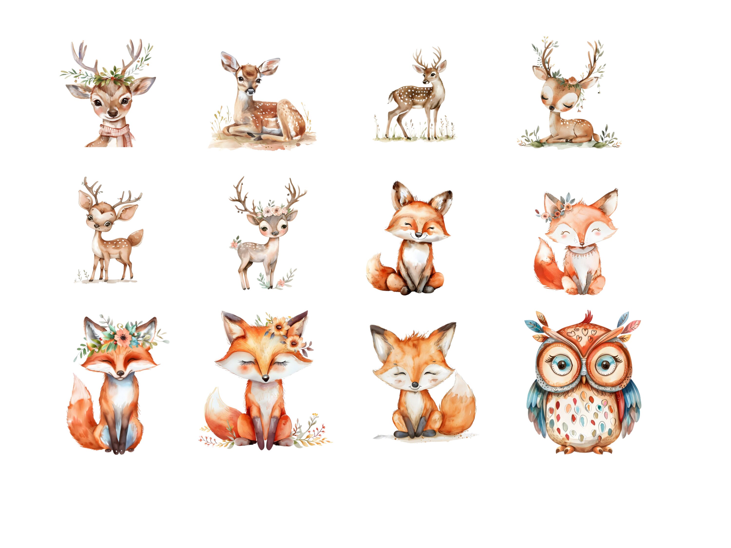 Boho Woodland Animals Clipart, Cute Woodland Animals Clipart, Boho ...