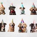 Birthday Dog Clipart, Cute Puppy Clipart, PNG, Dog Birthday Hat Clipart ...