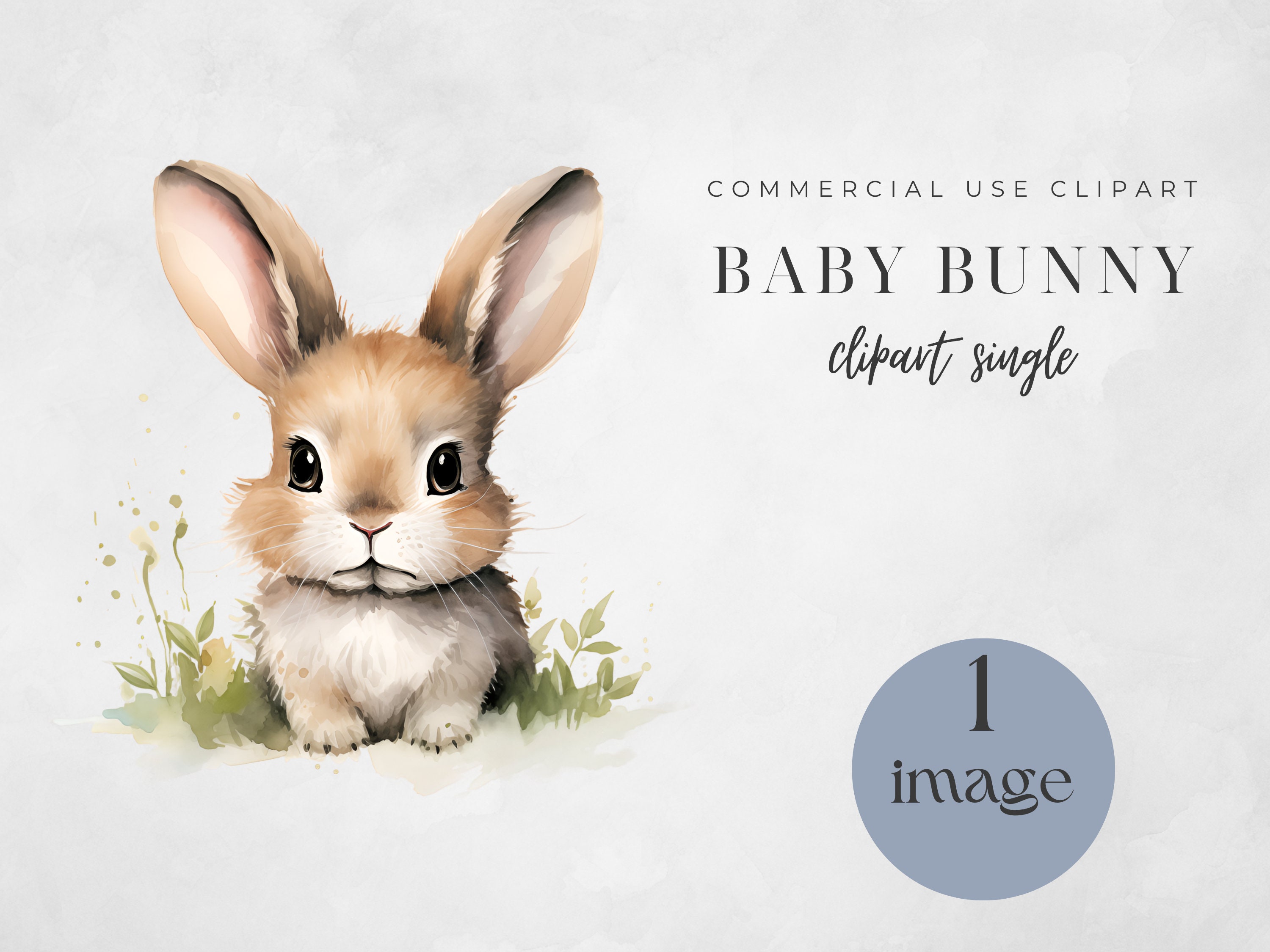 Baby Bunny Clipart, Rabbit Png, Commercial Use Clip Art, Baby Shower ...