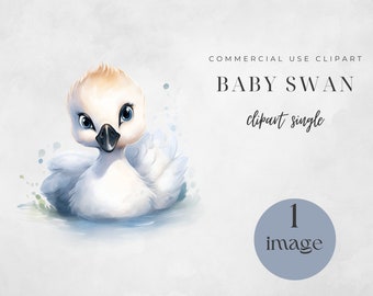Baby Swan Clipart. Watercolor PNG Image. Nursery Wall Art. Woodland ...