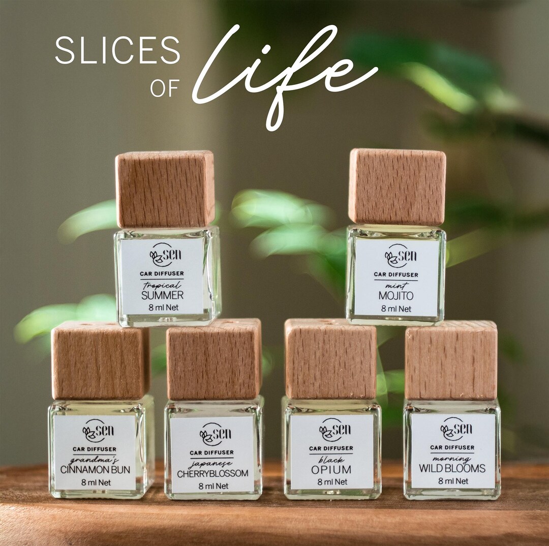 Car Diffuser | Car Clip Diffuser | Unique Scent | Slice of Life ...