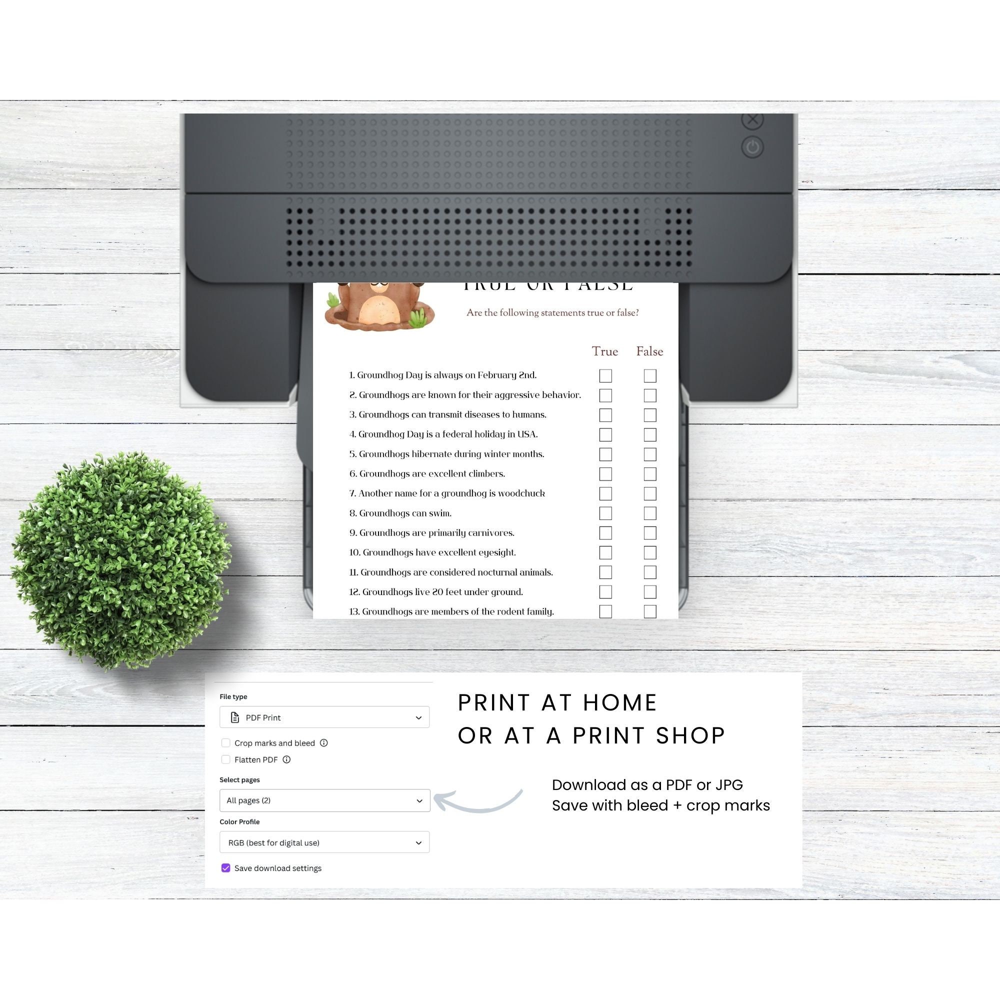 Groundhog Day True or False Trivia, Fun Groundhog Party Game for Kids ...