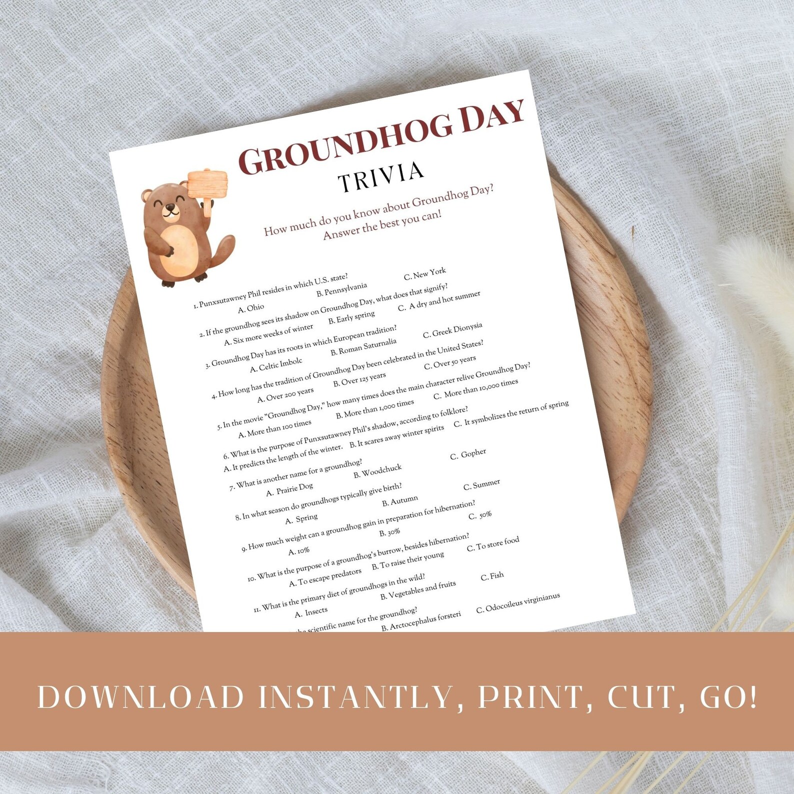 Groundhog Day Trivia, Fun Groundhog Party Game for Kids and Adults ...
