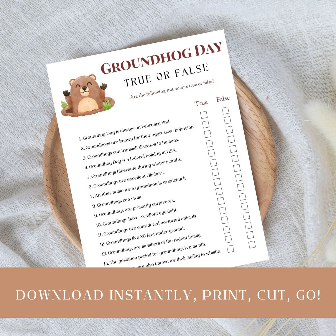 Groundhog Day True or False Trivia, Fun Groundhog Party Game for Kids ...