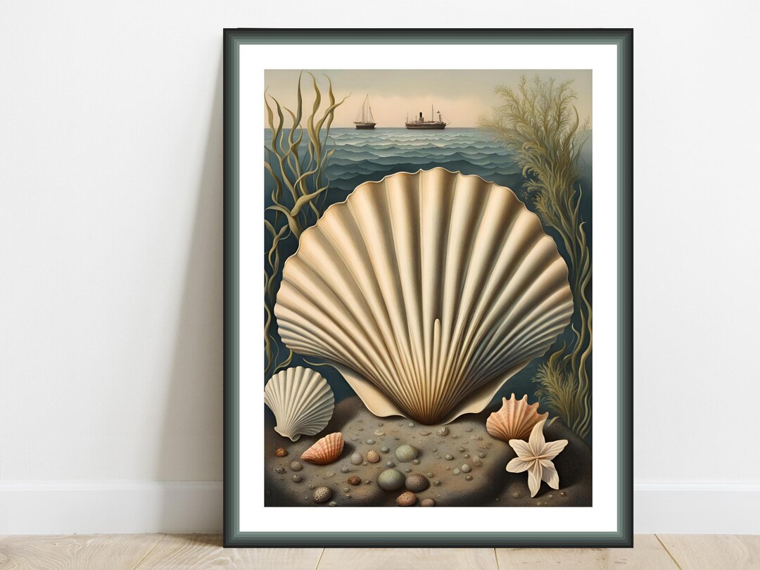 Scallop Seashell Art Print, Vintage Style Illustration, Sea Shell ...