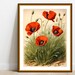 Poppy Flower Art Print, Vintage Poppies Illustration, Botanical Wall ...
