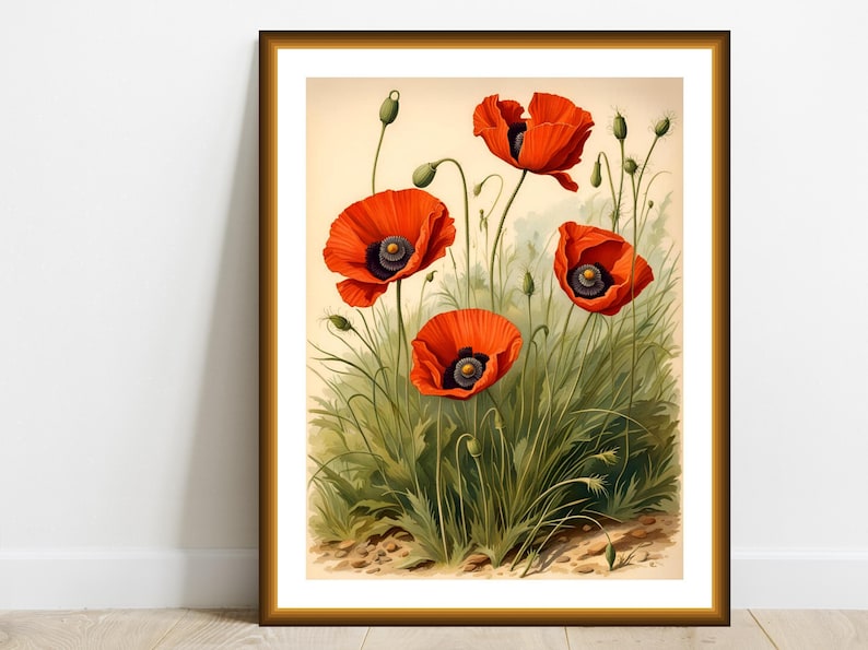 Poppy Flower Art Print, Vintage Poppies Illustration, Botanical Wall ...