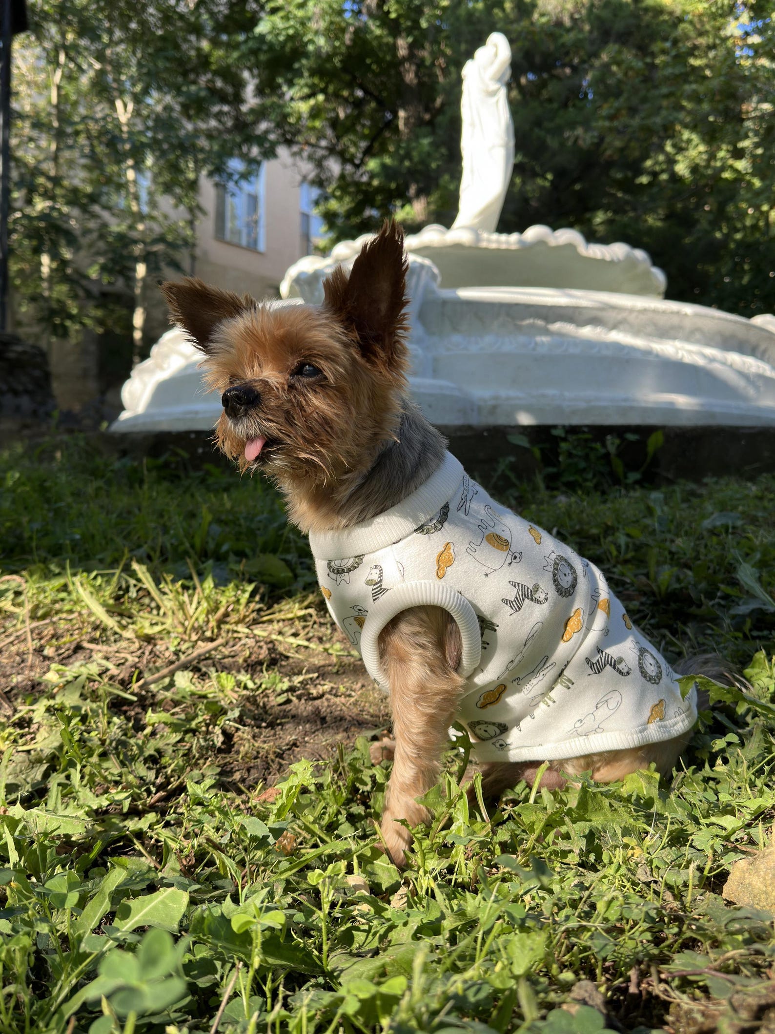 Pattern of a Sleeveless Shirt for a Small Standard Dog - Etsy
