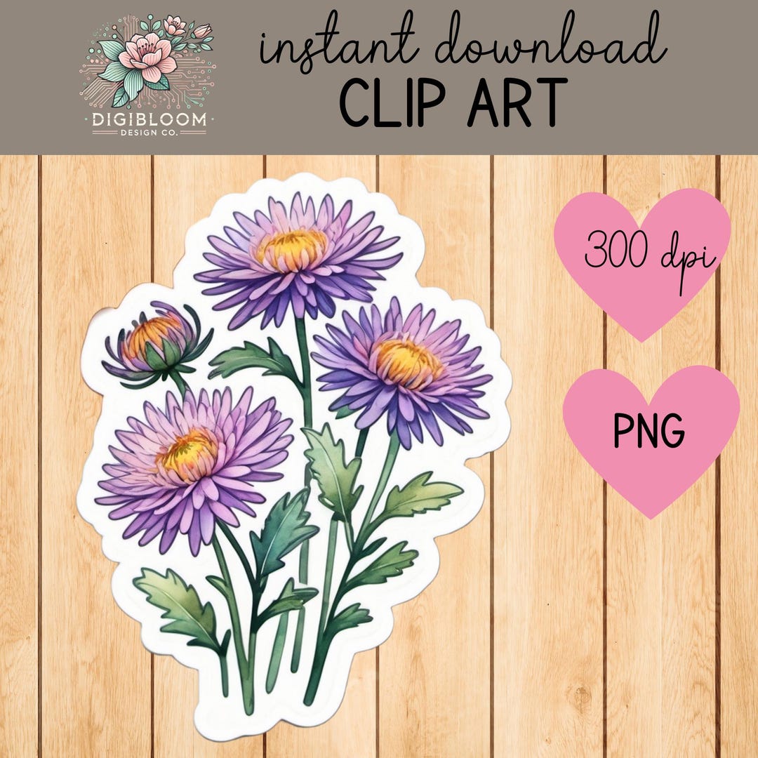 September Birth Flower Clipart | Digital Sticker | Elegant Aster Floral ...
