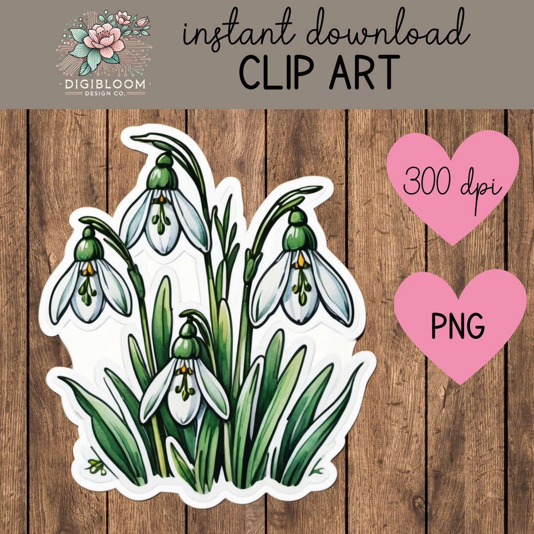 January Birth Month Flowers | Digital Sticker | Elegant Snowdrop ...