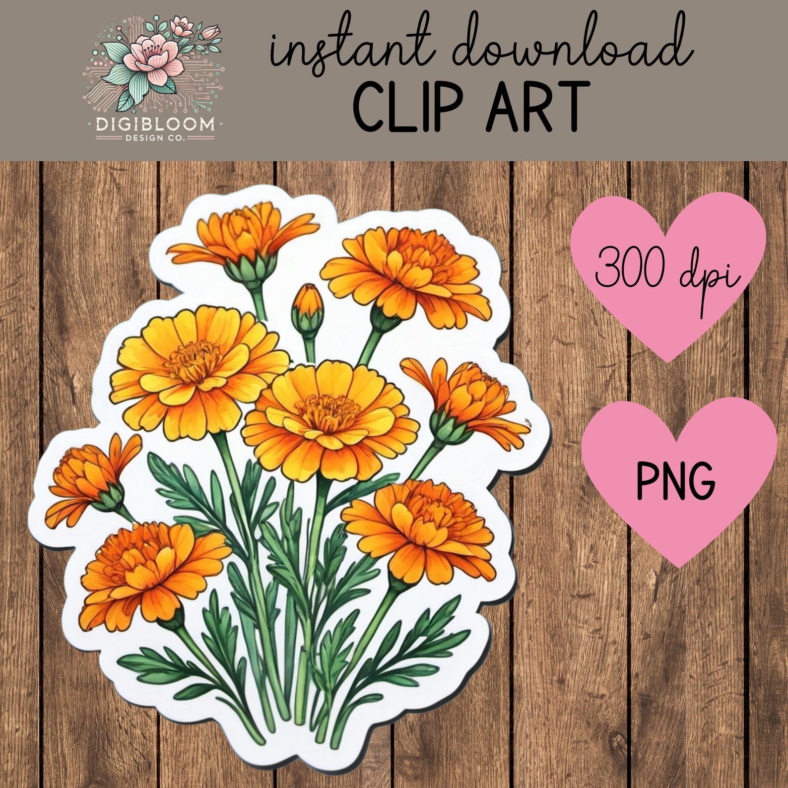 October Birth Flower Clipart | Digital Sticker | Marigold Designs for ...