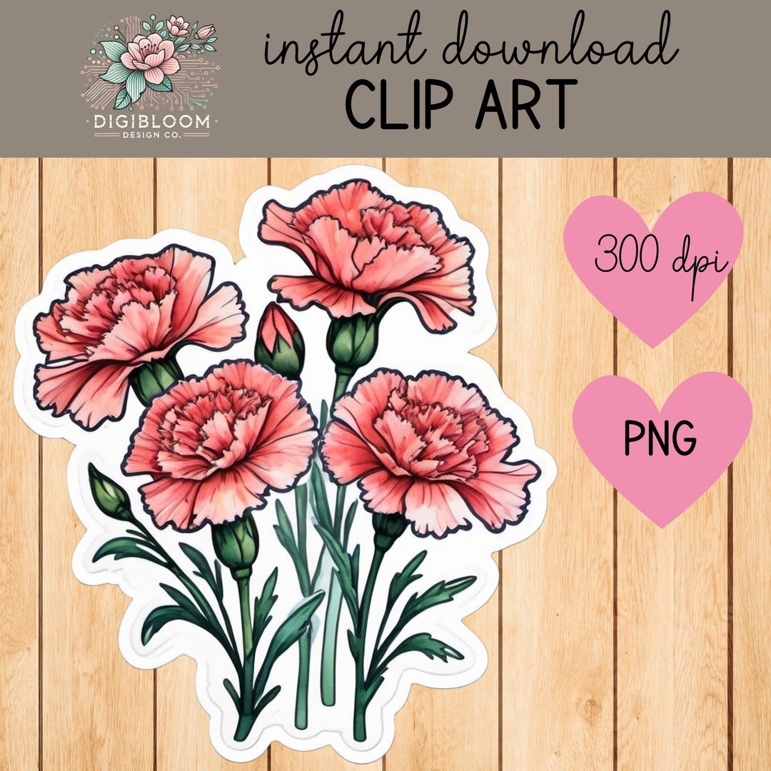 January Birth Flower Clipart | Digital Sticker | Beautiful Carnation ...