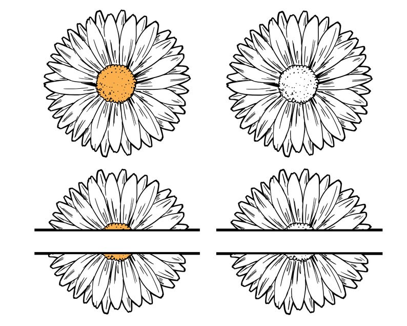 Daisy Svg, Daisy Flower Clipart, Daisy Svg Cut Files for Cricut, Daisy ...