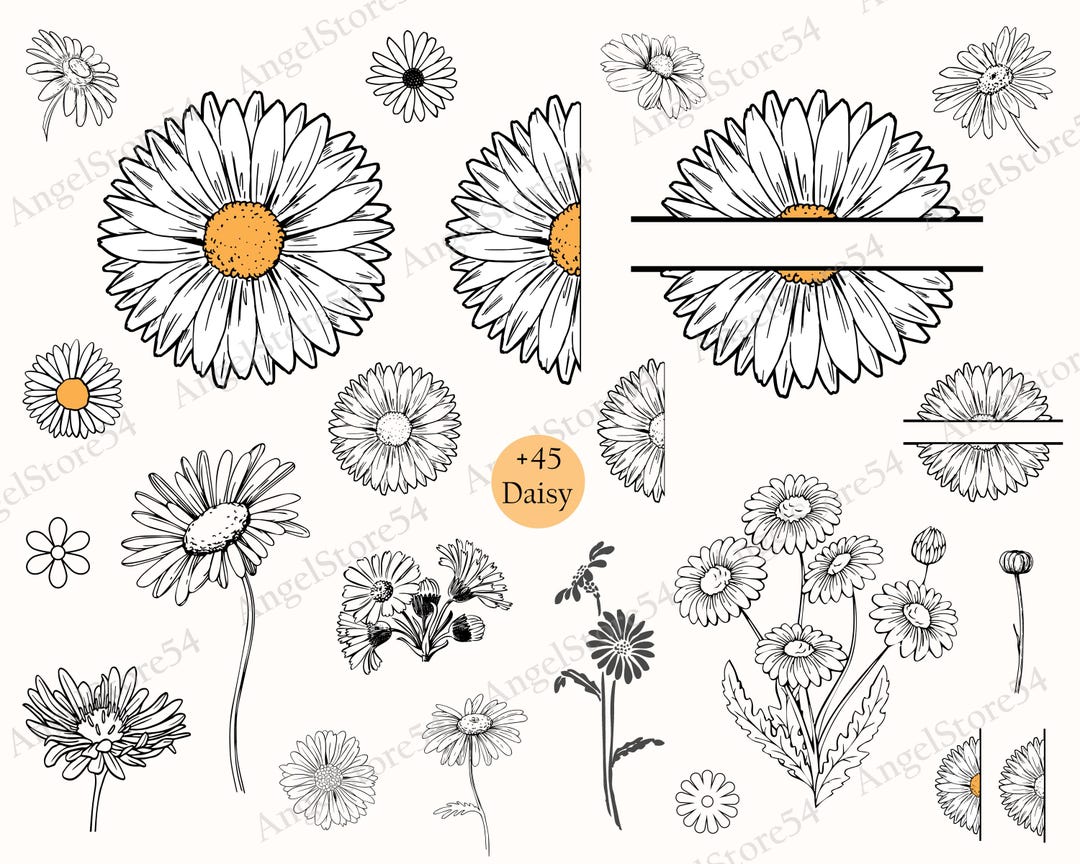 Daisy Svg, Daisy Flower Clipart, Daisy Svg Cut Files for Cricut, Daisy ...