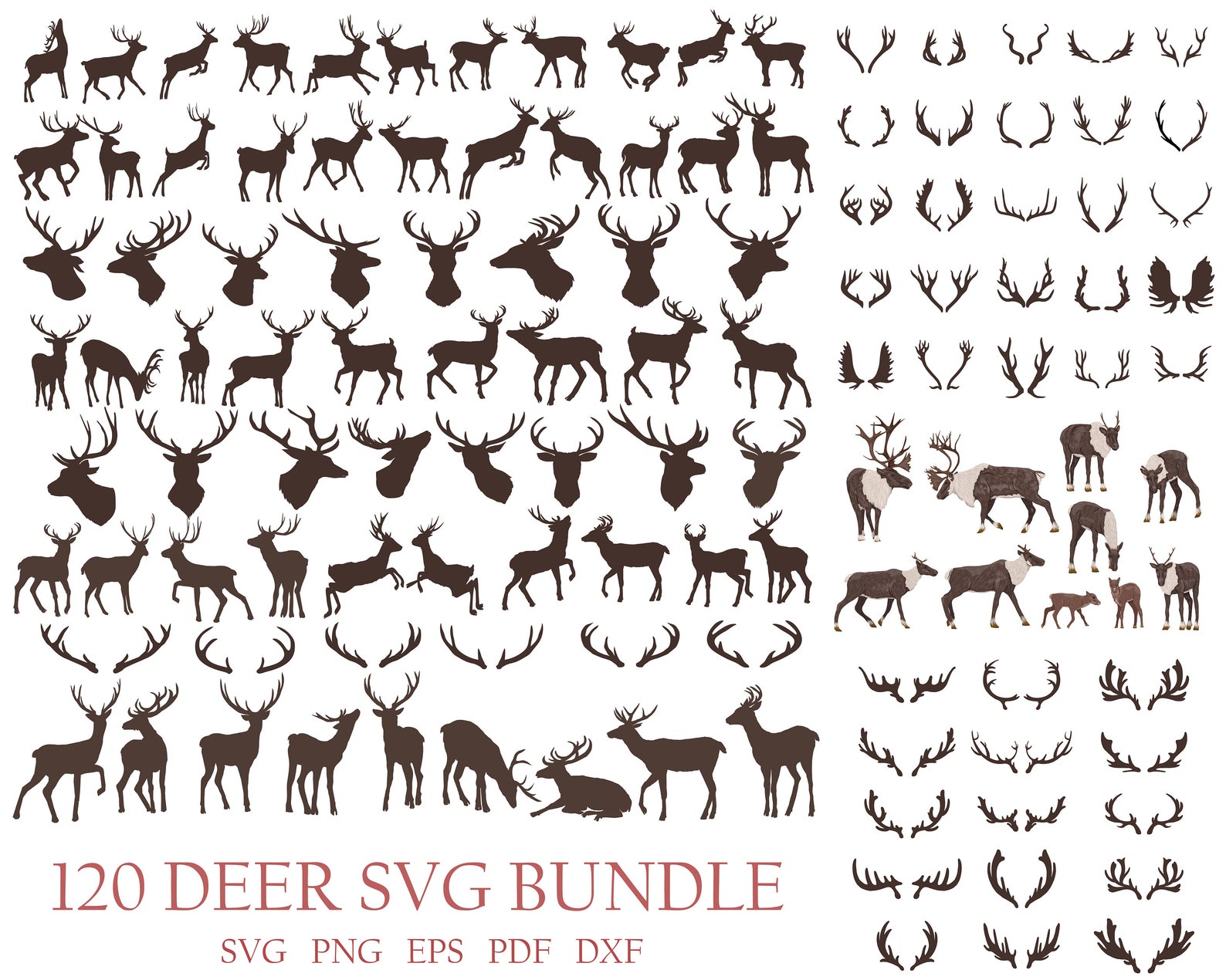 120 Deer SVG Bundle, Deer PNG Bundle, Deer Clipart, Deer SVG Cut Files ...