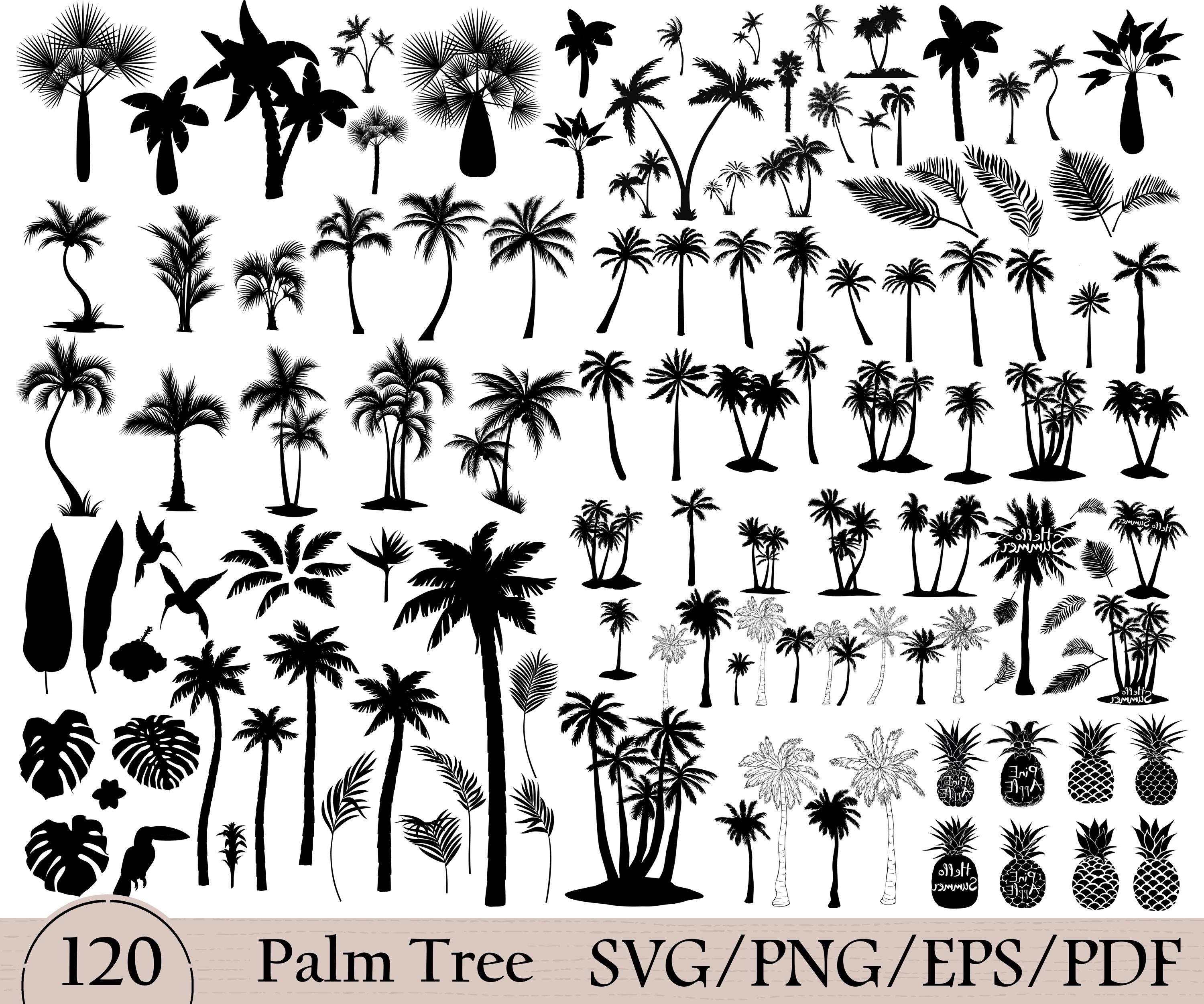 Palm Tree SVG, Palm Tree Svg Bundle, Palm Tree Silhouette, Palm Tree Clipart, Palm Png, Tropical ...