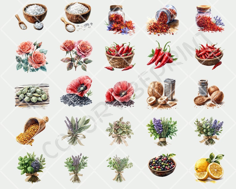 Watercolor Herbs Spices Clip Art, Bundle of 125 PNG, Natural Remedies ...