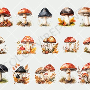 Watercolor Mushroom Clipart, Woodland Forest PNG Set (30, Commercial ...
