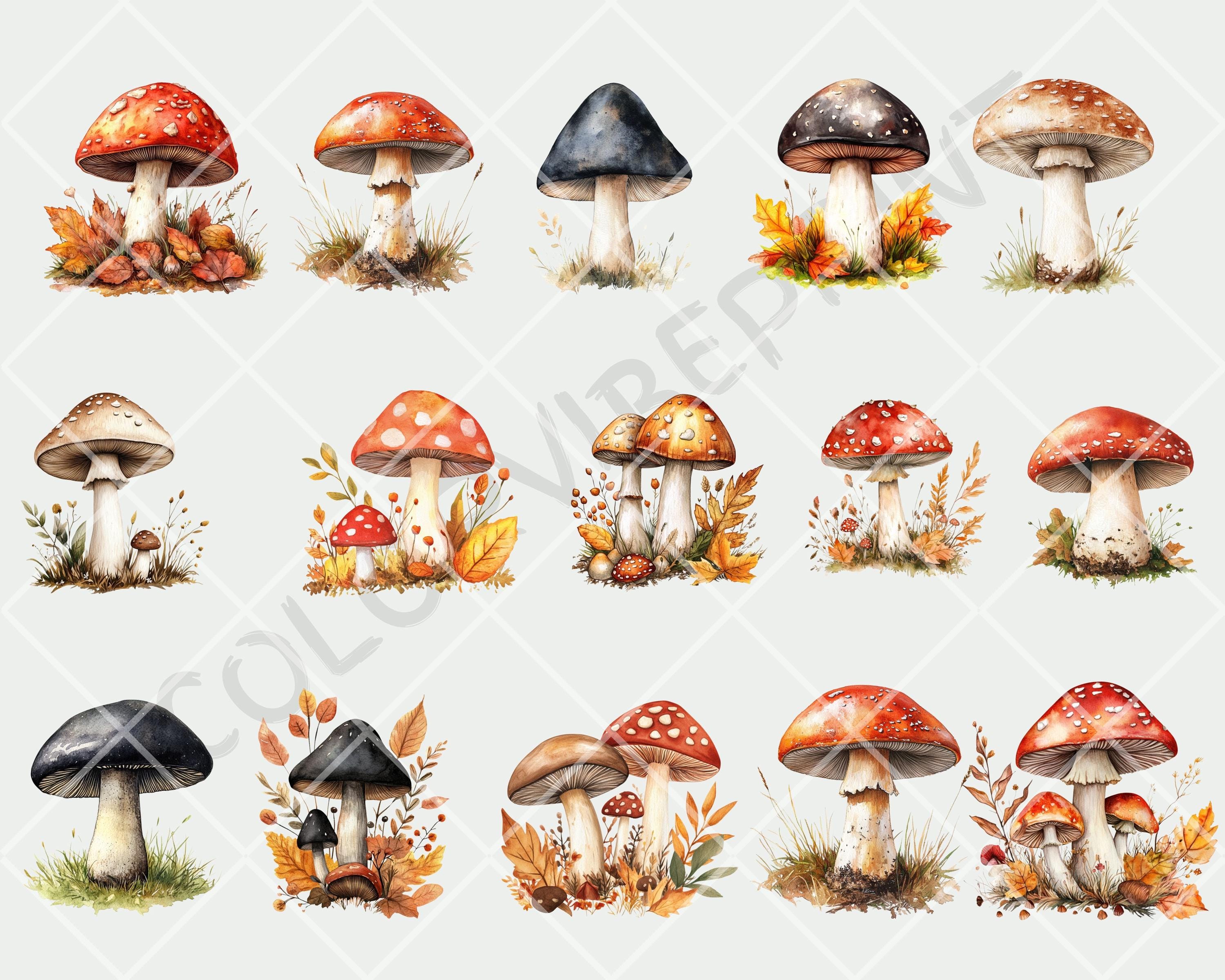 Watercolor Mushroom Clipart Forest Nature Toadstool Woodland Graphics ...