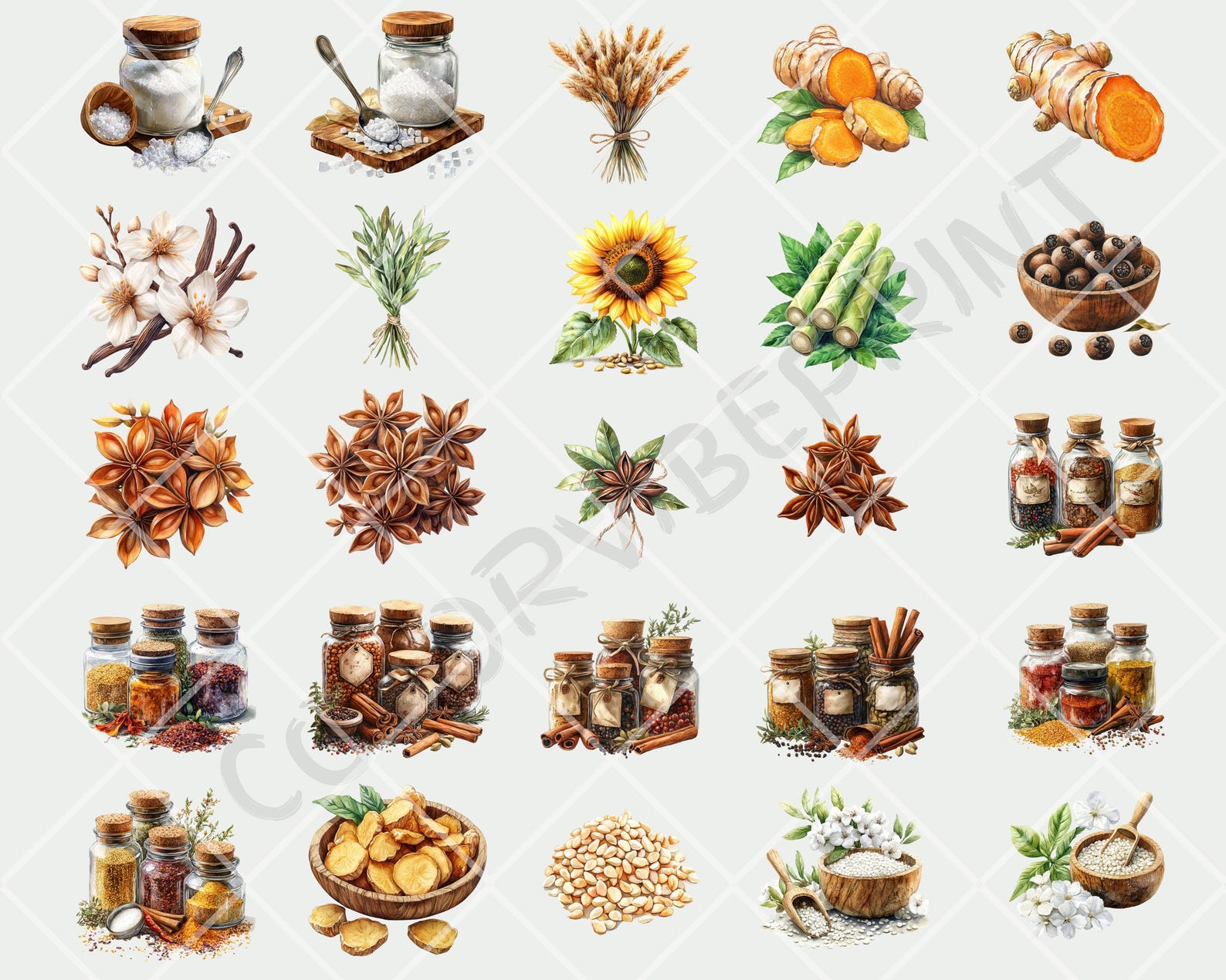Watercolor Herbs Spices Clip Art, Bundle of 125 PNG, Natural Remedies ...