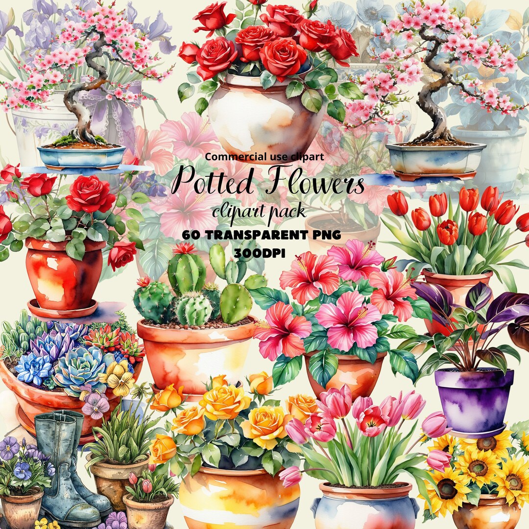 Watercolor Potted Flowers Bundle, Garden Planter 60 Pngs, Floral ...
