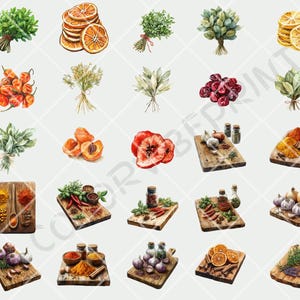 Watercolor Herbs Spices Clip Art, Bundle of 125 PNG, Natural Remedies ...