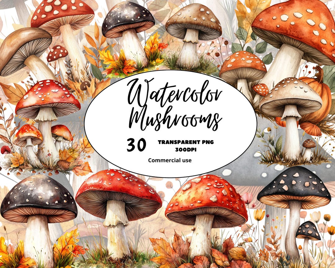 Watercolor Mushroom Clipart Forest Nature Toadstool Woodland Graphics ...