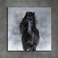 Horse Mane - Etsy