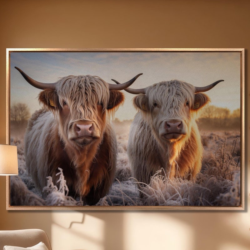 Highland Cattle Art - Etsy