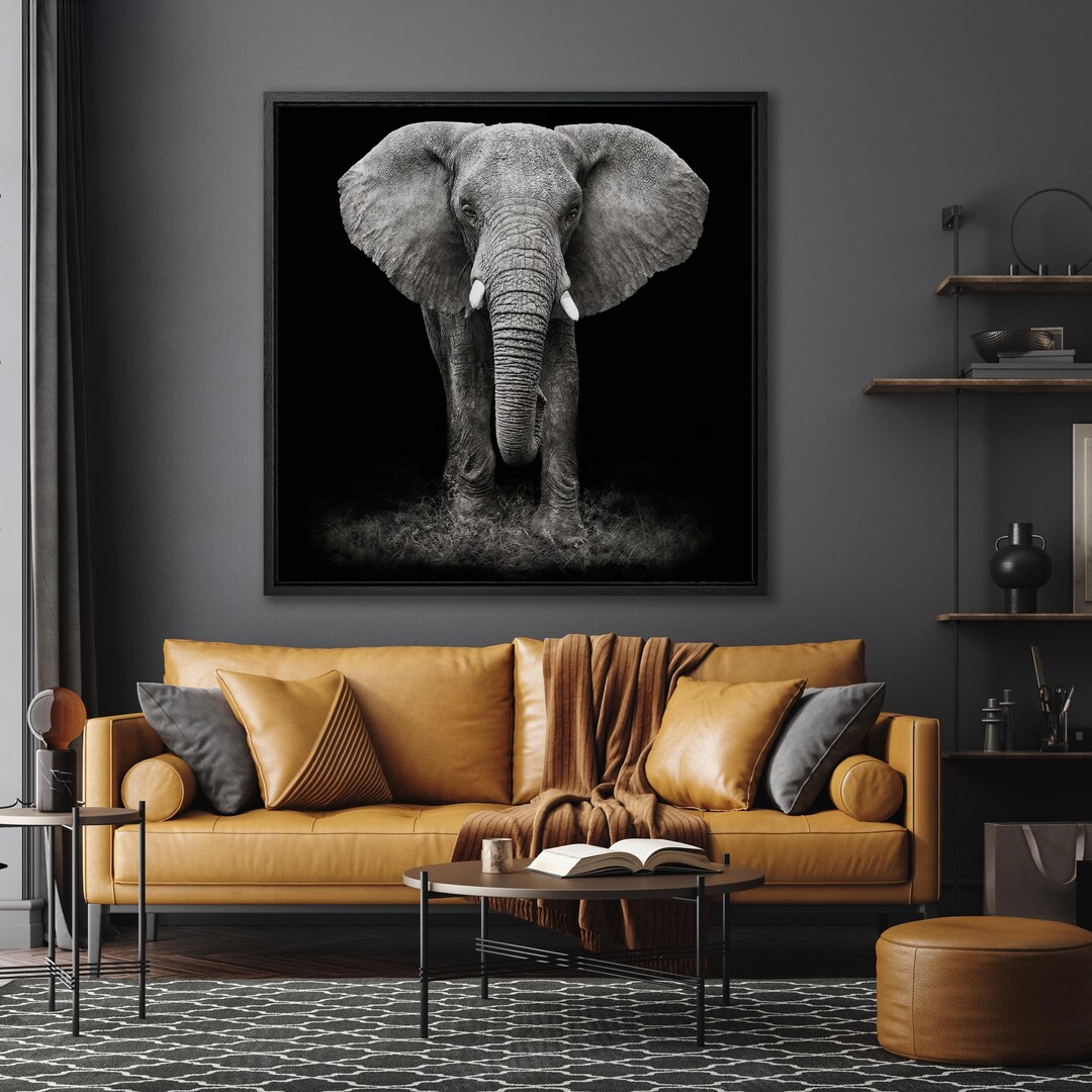 Elephant Canvas Wall Art | Black and White Animal Print - Etsy
