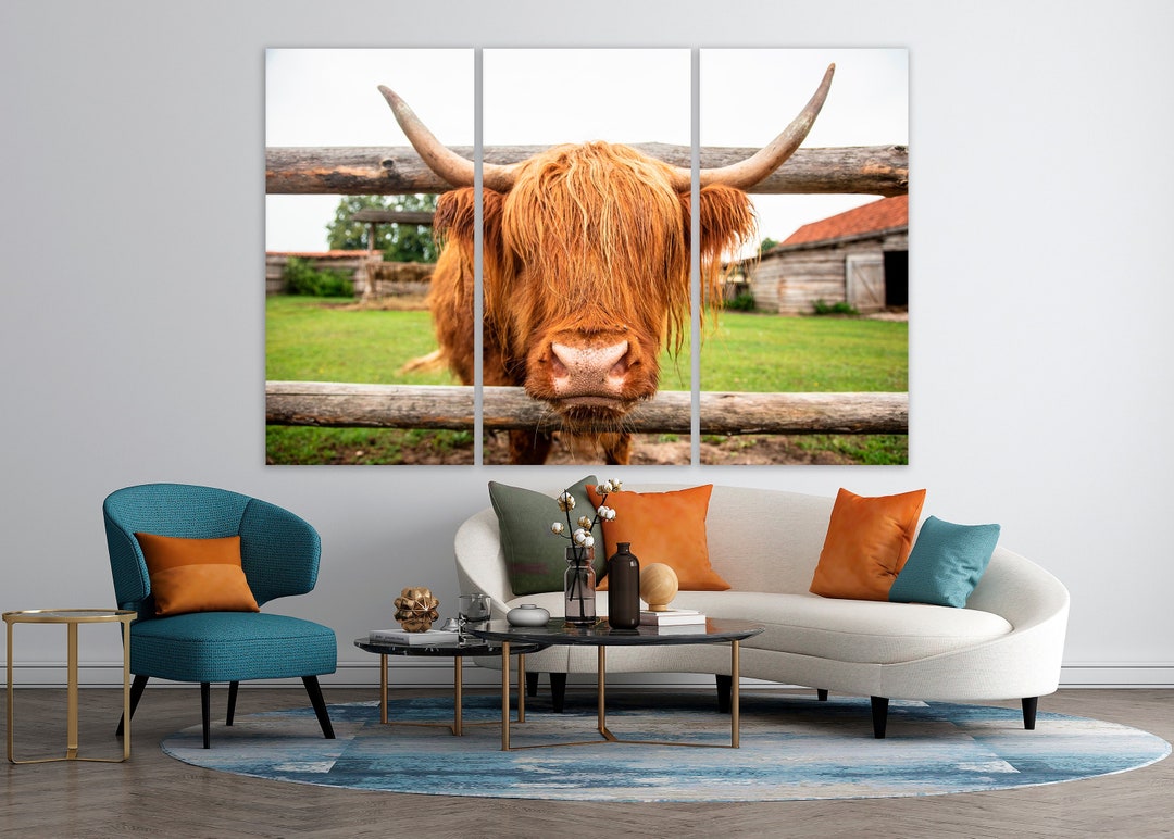 Cute Highland Cow Canvas Wall Art Scottish Cattle Print Sticking His ...