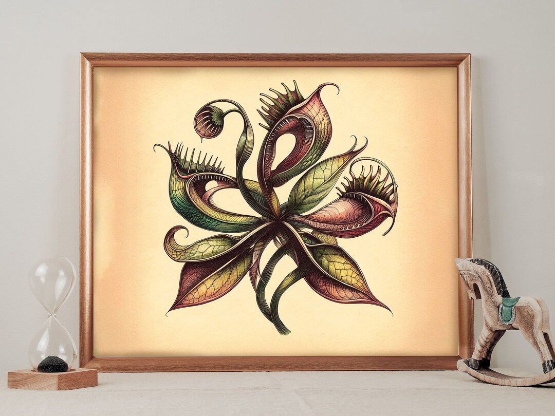 Vintage Botanical Drawing, Modern Botany Art, Clover Shape Print ...