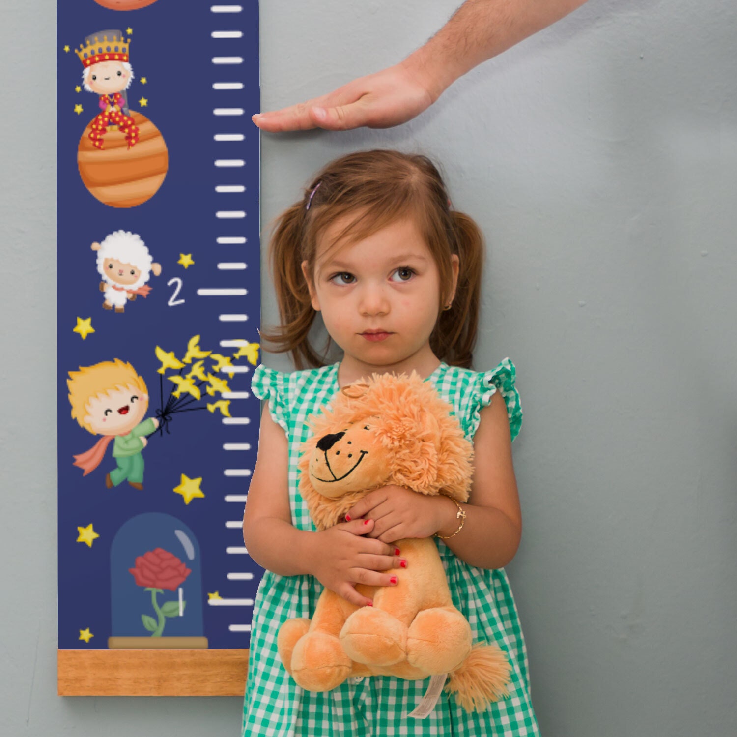 Canvas Ruler, Kid's Growth Chart, Height Chart for Kids, Nursery Room ...