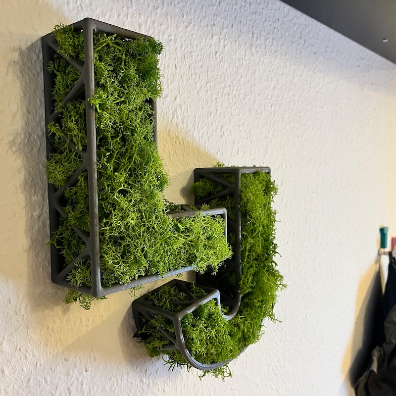 Moss Letters - Etsy