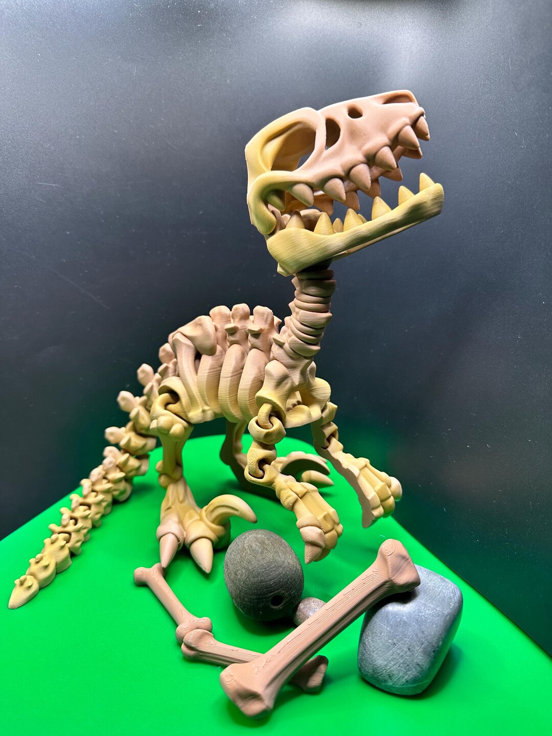 Raptor Skeleton With Stone Look Base Plate Movable Dinosaur Skeleton ...