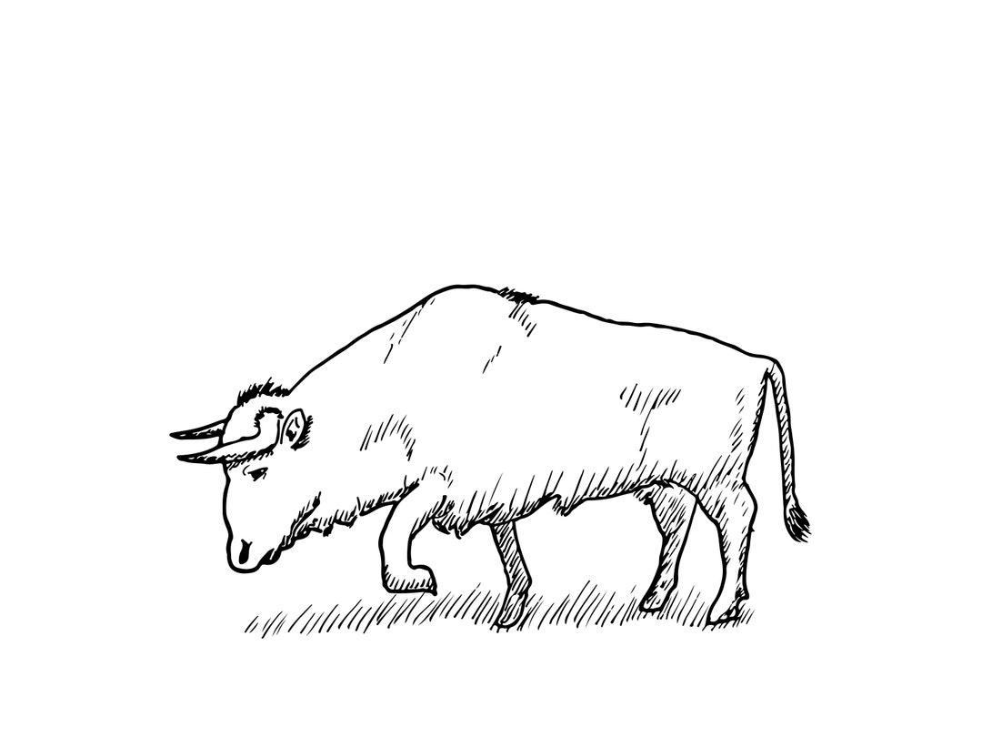 Simple Ox Drawing With Shading Digital Print Wall Art Gift - Etsy