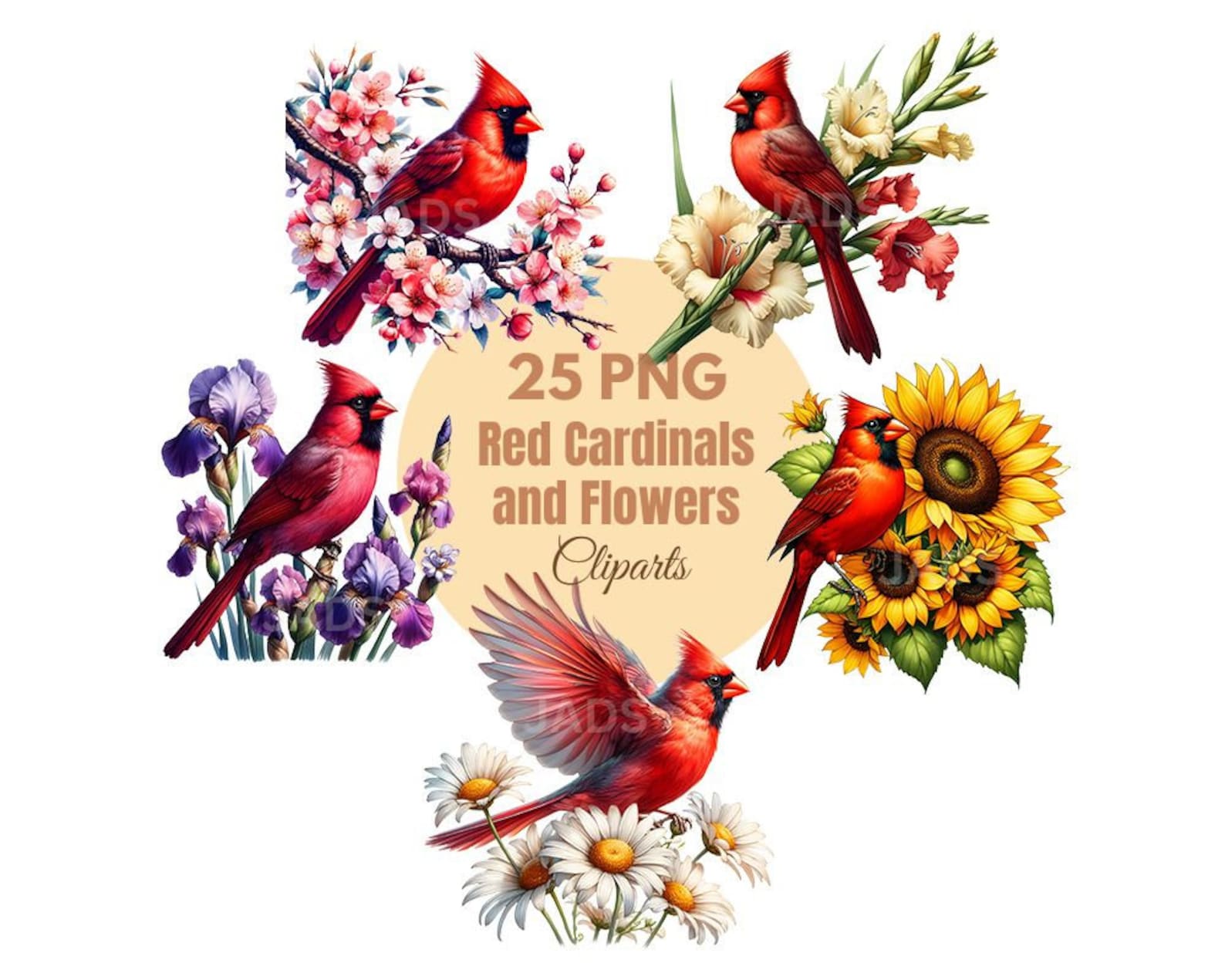 25 Red Cardinal and Flowers Clipart Bundle, Digital Paper Clipart ...
