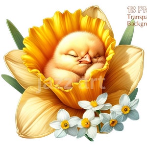 Chick and Flowers Clipart Bundle, Chick Png Graphics, Cute Chick Png ...