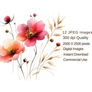 Pink Watercolor Flower Clipart Bundle: Blush & Rose Floral PNG (digital ...
