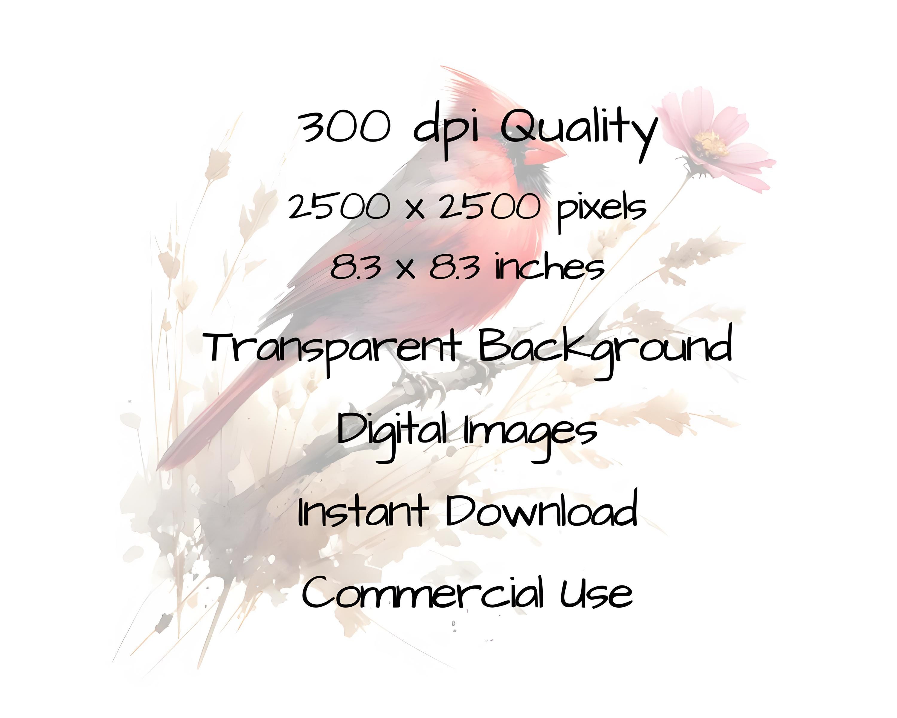 Abstract Red Cardinal Clipart Bundle: Watercolor Bird PNG (digital ...