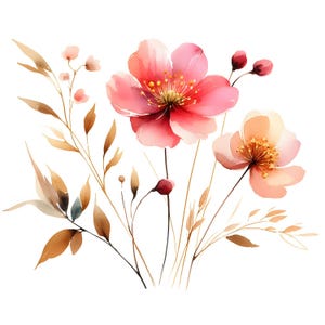 Pink Watercolor Flower Clipart Bundle: Blush & Rose Floral PNG (digital ...