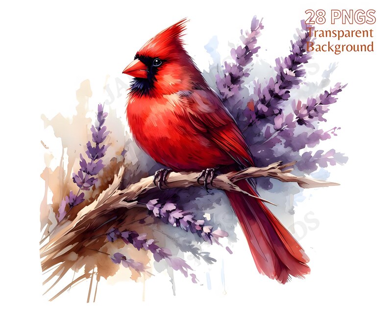 Abstract Red Cardinal Clipart Bundle: Watercolor Bird PNG (digital ...
