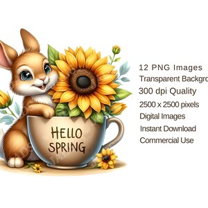 Watercolor Bunny Clipart Bundle: Spring Teacup PNG Graphics (commercial ...