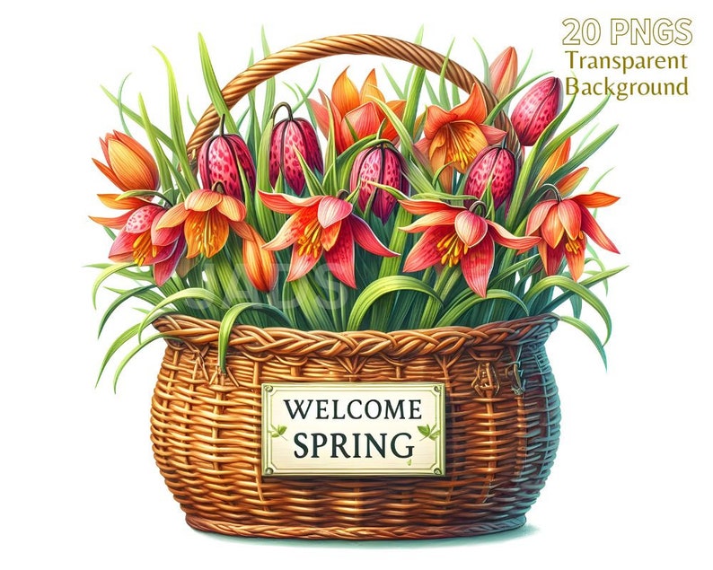 Watercolor Spring Flower Basket Clipart Bundle (PNG, Commercial Use) - Etsy