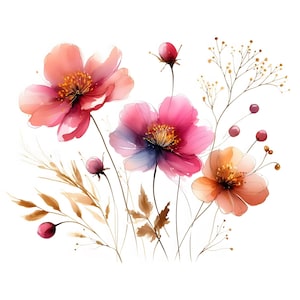 Pink Watercolor Flower Clipart Bundle: Blush & Rose Floral PNG (digital ...