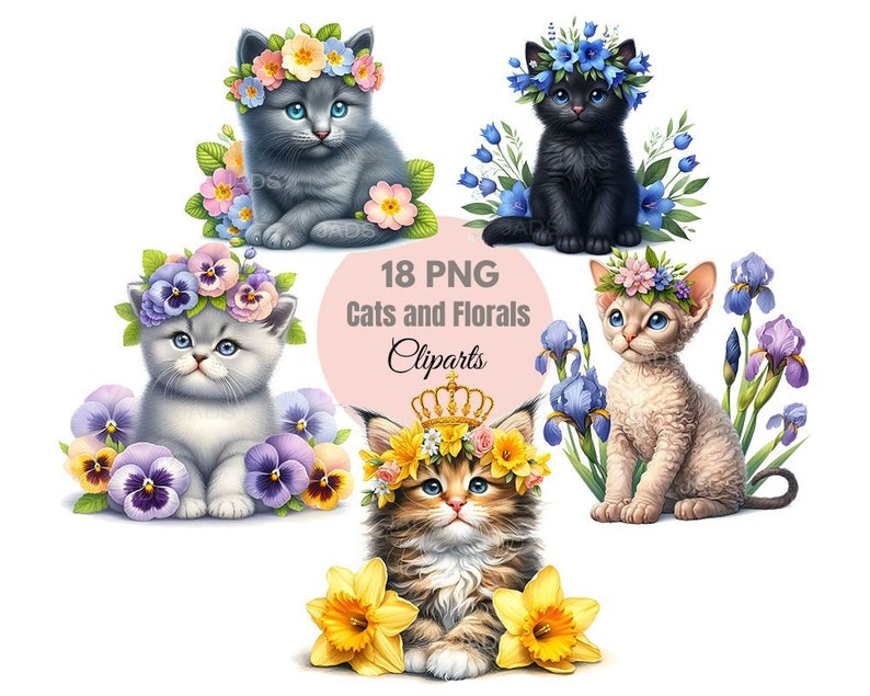 18 Cats and Florals Clipart Bundle, Spring Flowers, Cats Png Graphics ...