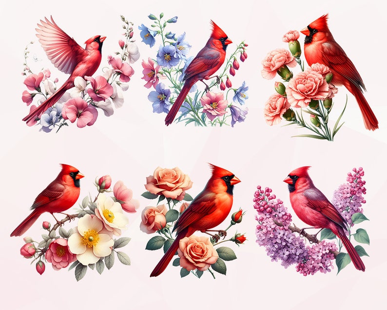Red Cardinal & Flowers Clipart Bundle: Watercolor Bird PNG (commercial ...