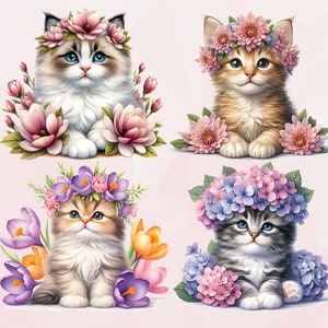 18 Cats and Florals Clipart Bundle, Spring Flowers, Cats Png Graphics ...