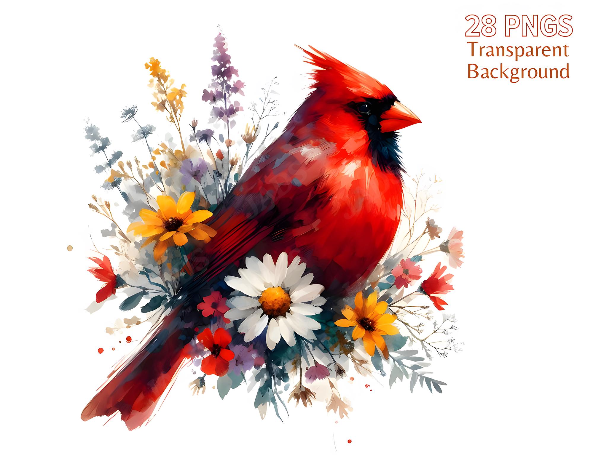 Abstract Red Cardinal Clipart Bundle: Watercolor Bird PNG (digital ...