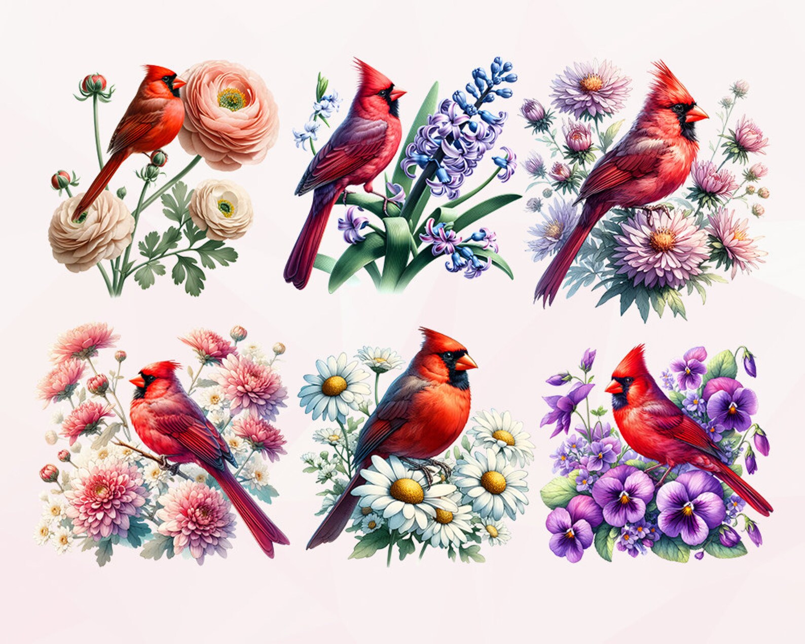 Red Cardinal & Flowers Clipart Bundle: Watercolor Bird PNG (commercial ...